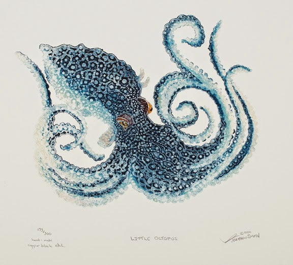 Little Octopus | Matthew Smith at Quincy Pond