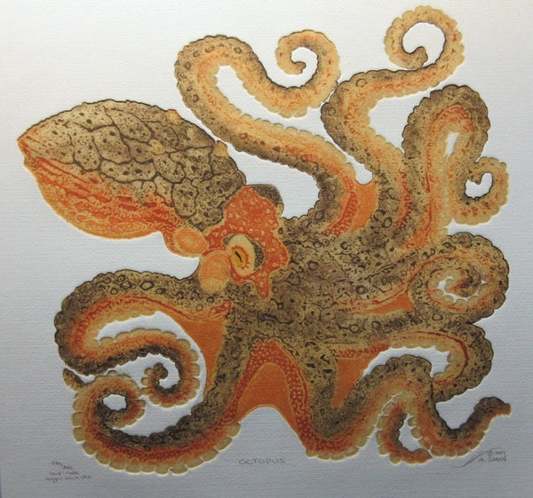 Octopus – Matthew Smith at Quincy Pond